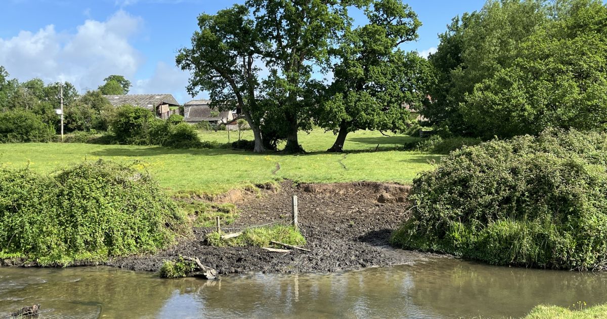 Rodden Roundabout (Almost an Amble Ramble) - Ramblers